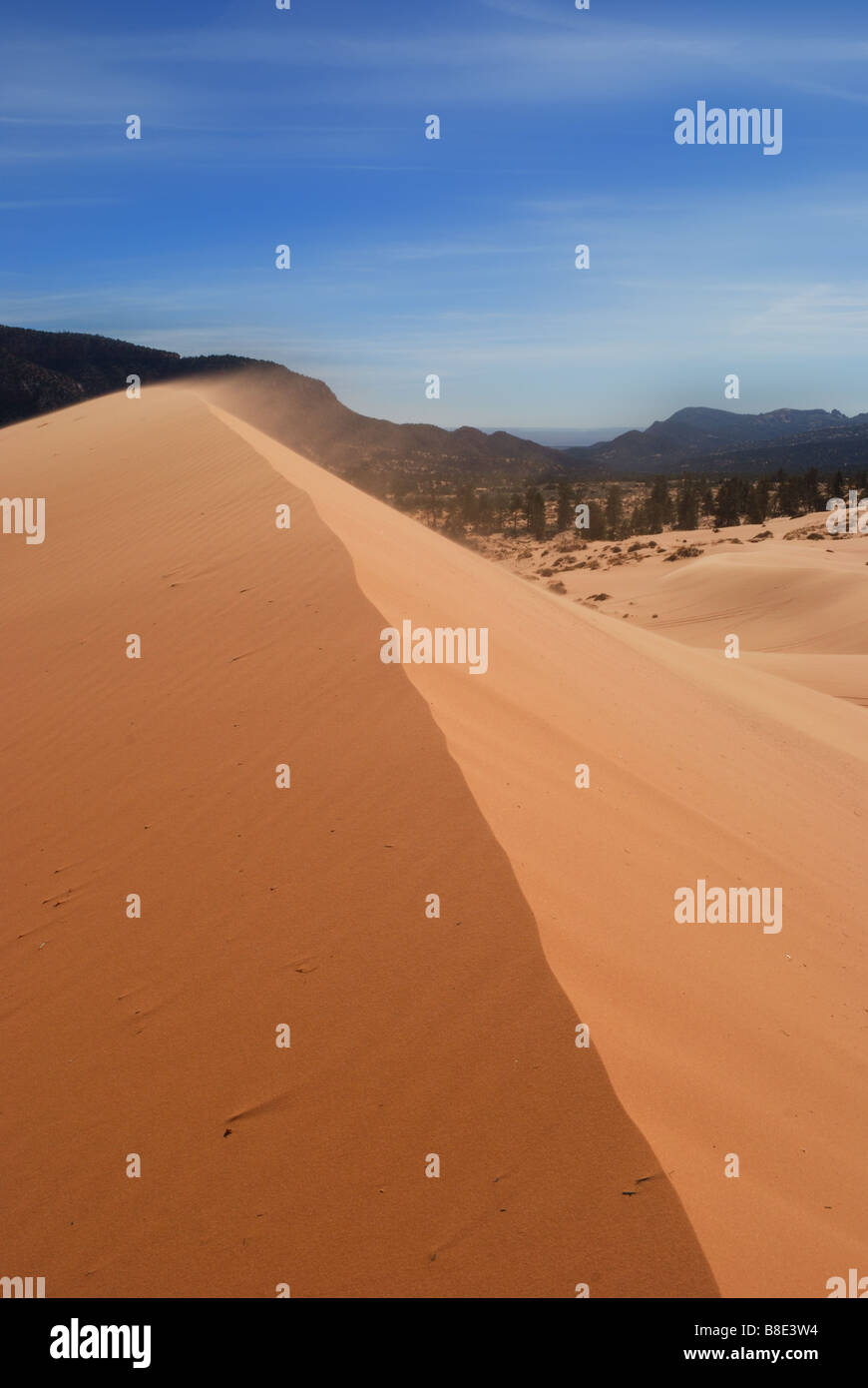 Windswept sand dune at Coral Pink sand dunes state park Utah Stock ...