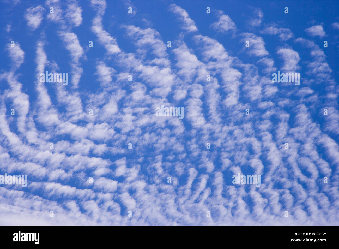 Cirrus in the clear sky Stock Photo - Alamy