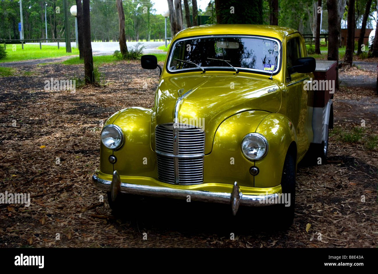 A vintage chrome yellow truck parked in the trees Stock Photo - Alamy