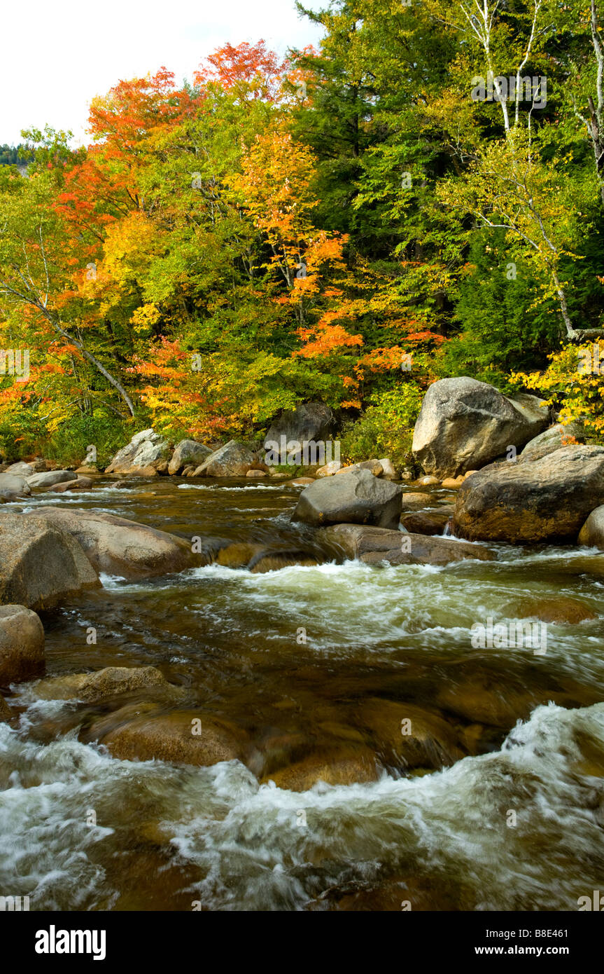 Rocks and fall foliage color along the Swift River in the White ...