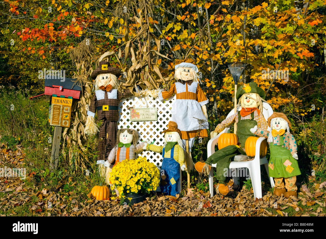 An autumn display of a group of yard scarecrows with pumpkins and ...