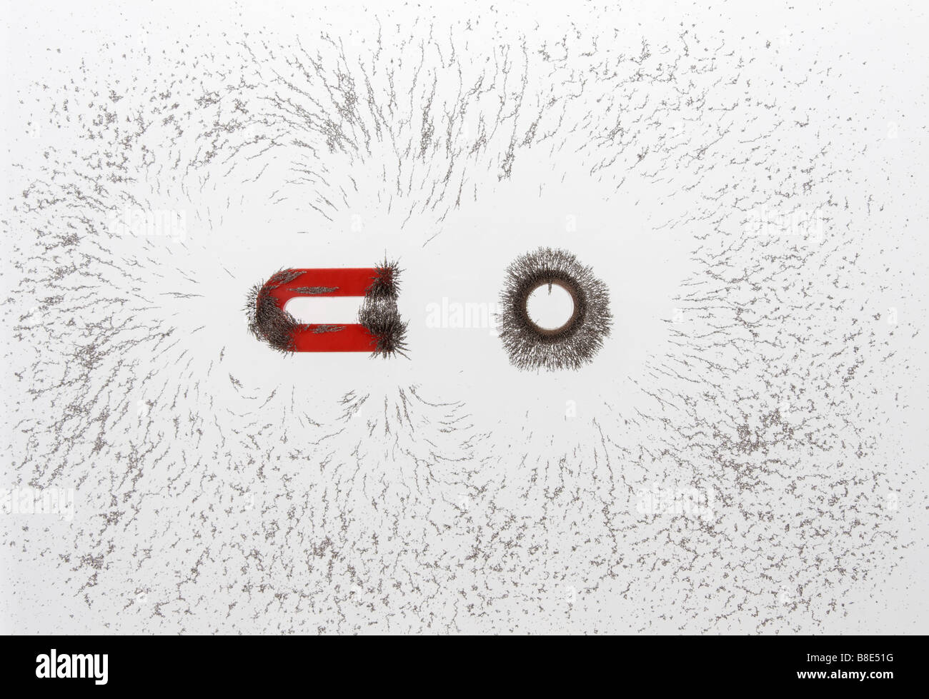 iron filing particles magnetized by horseshoe and circular magnet Stock ...