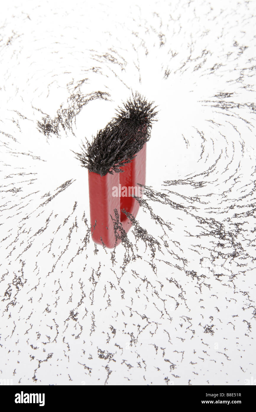 iron filing particles magnetized by horseshoe magnet Stock Photo - Alamy