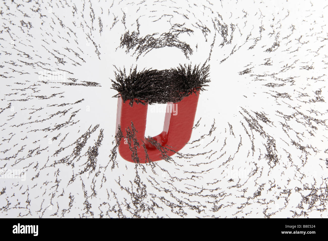 iron filing particles magnetized by horseshoe magnet Stock Photo - Alamy