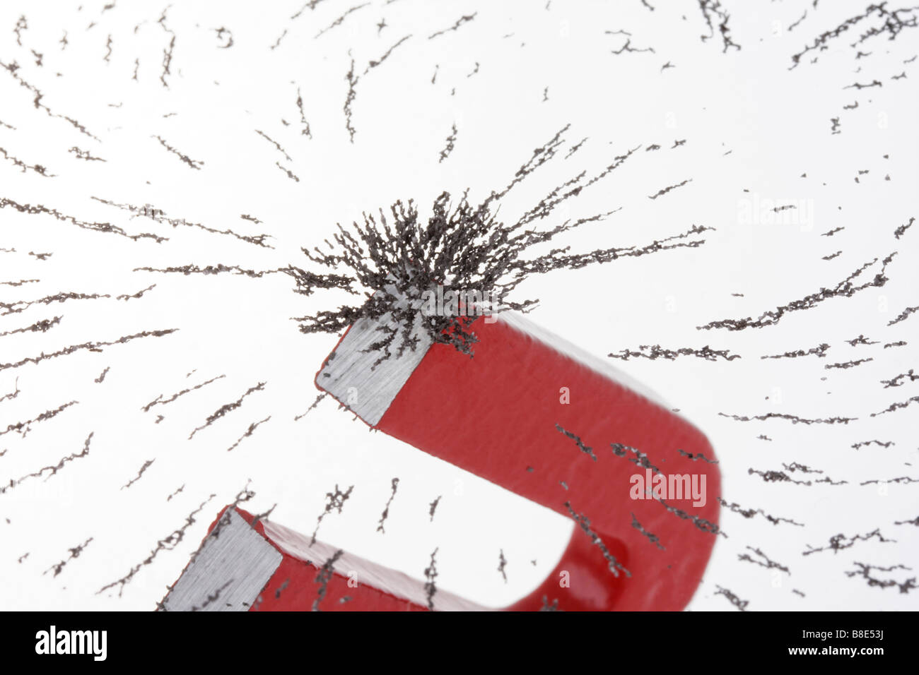 iron filing particles magnetized by horseshoe magnet Stock Photo - Alamy