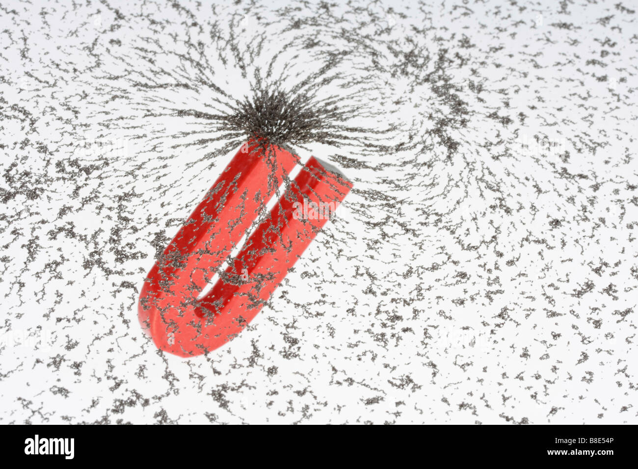 iron filing particles magnetized by horseshoe magnet Stock Photo - Alamy