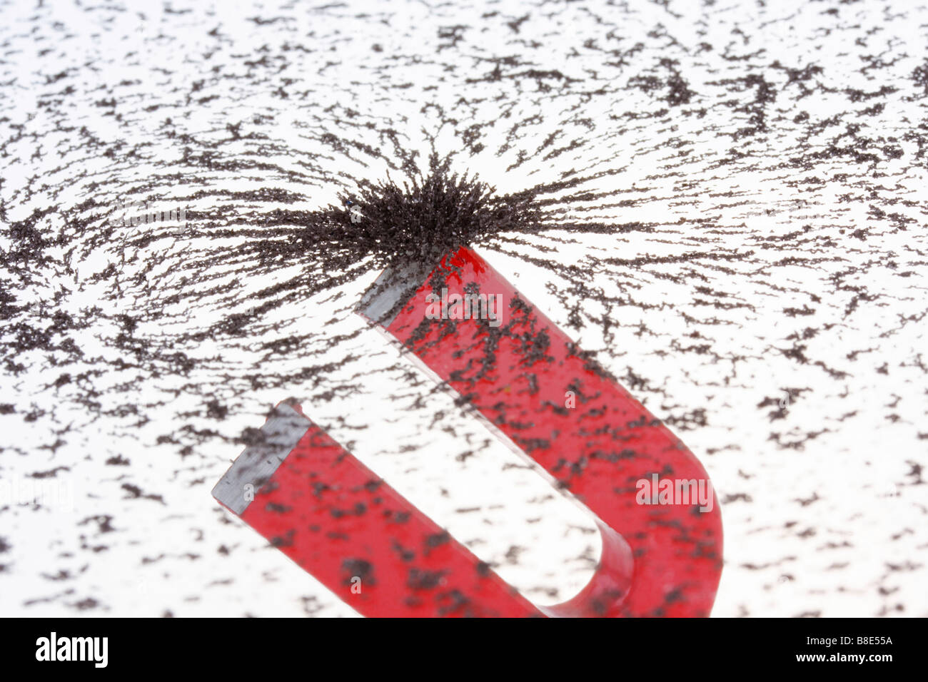 iron filing particles magnetized by horseshoe magnet Stock Photo - Alamy