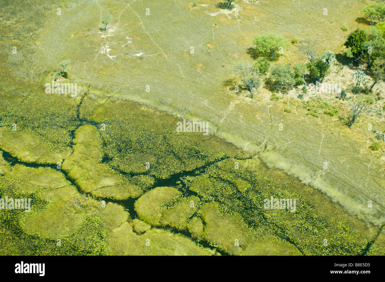 Aerial view of Botswana's Okavango Delta Stock Photo - Alamy