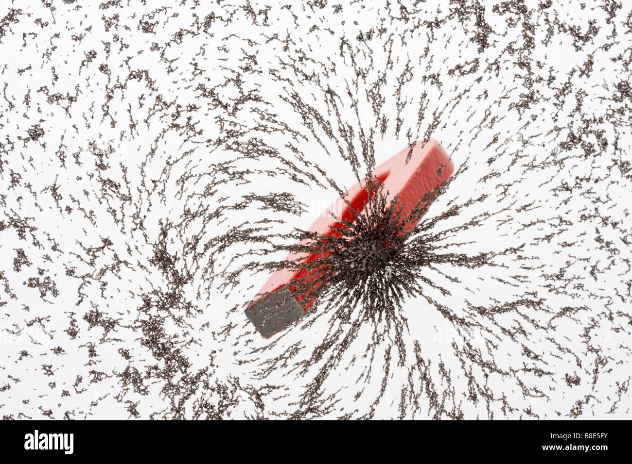 iron filing particles magnetized by horseshoe magnet Stock Photo - Alamy