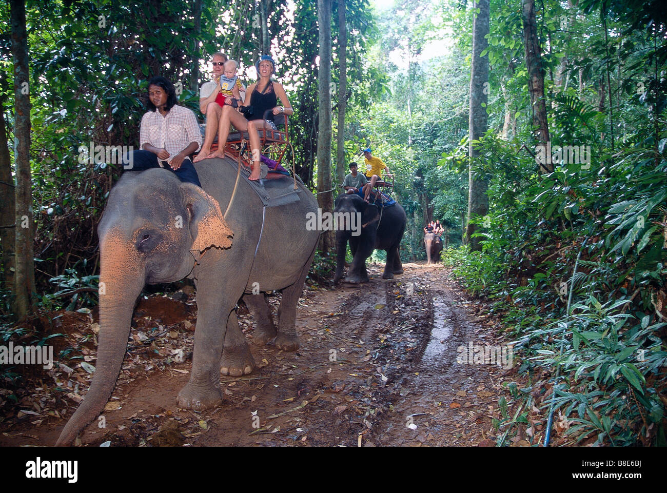 Elephant trekking or elephant riding is a popular tourist activity in ...