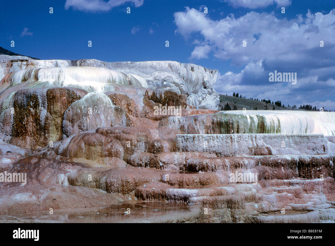 Minerva Terrace, Mammoth Hot Springs, Yellowstone National Park, USA ...