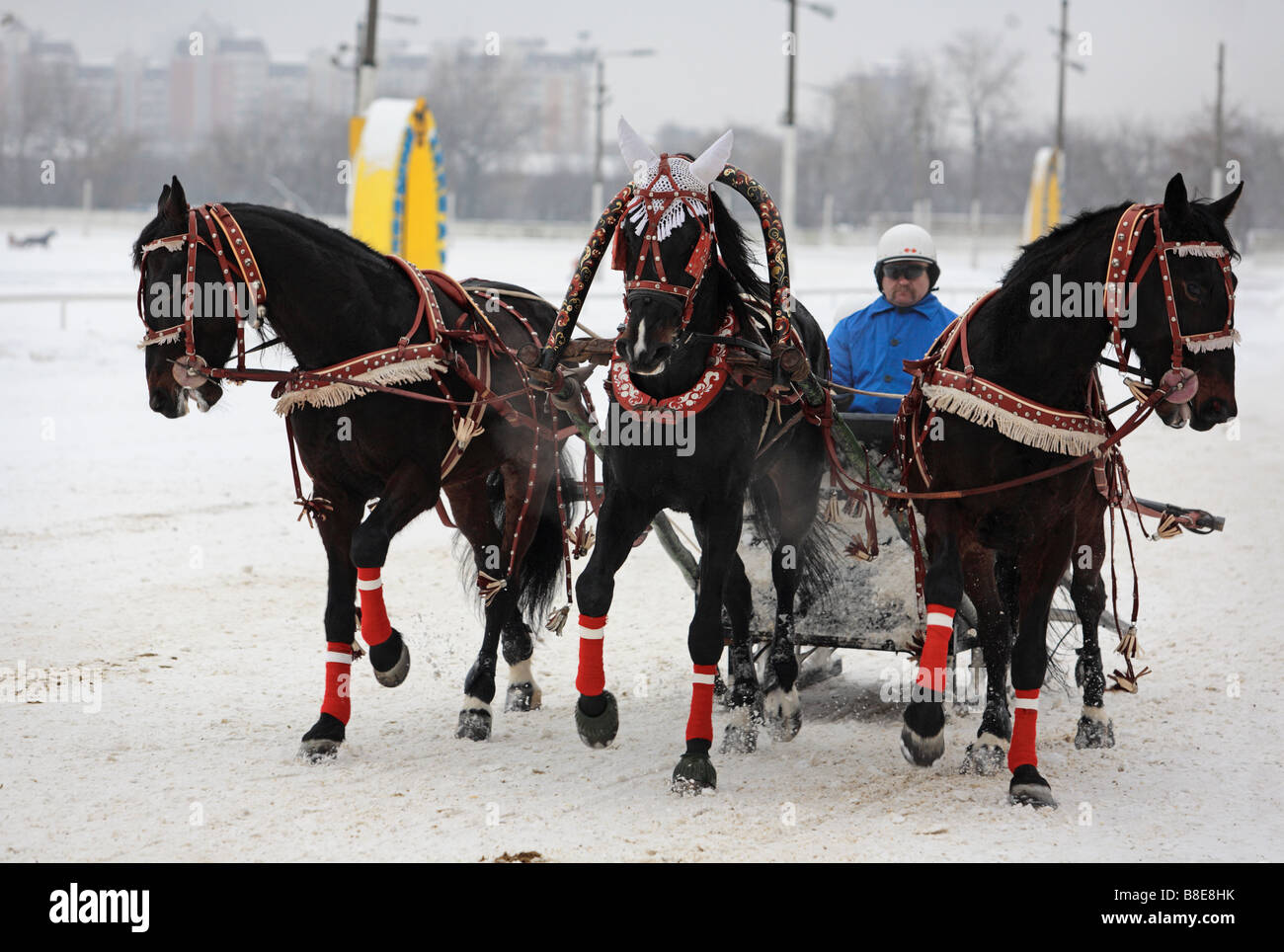Sleigh bells harness hi-res stock photography and images - Alamy