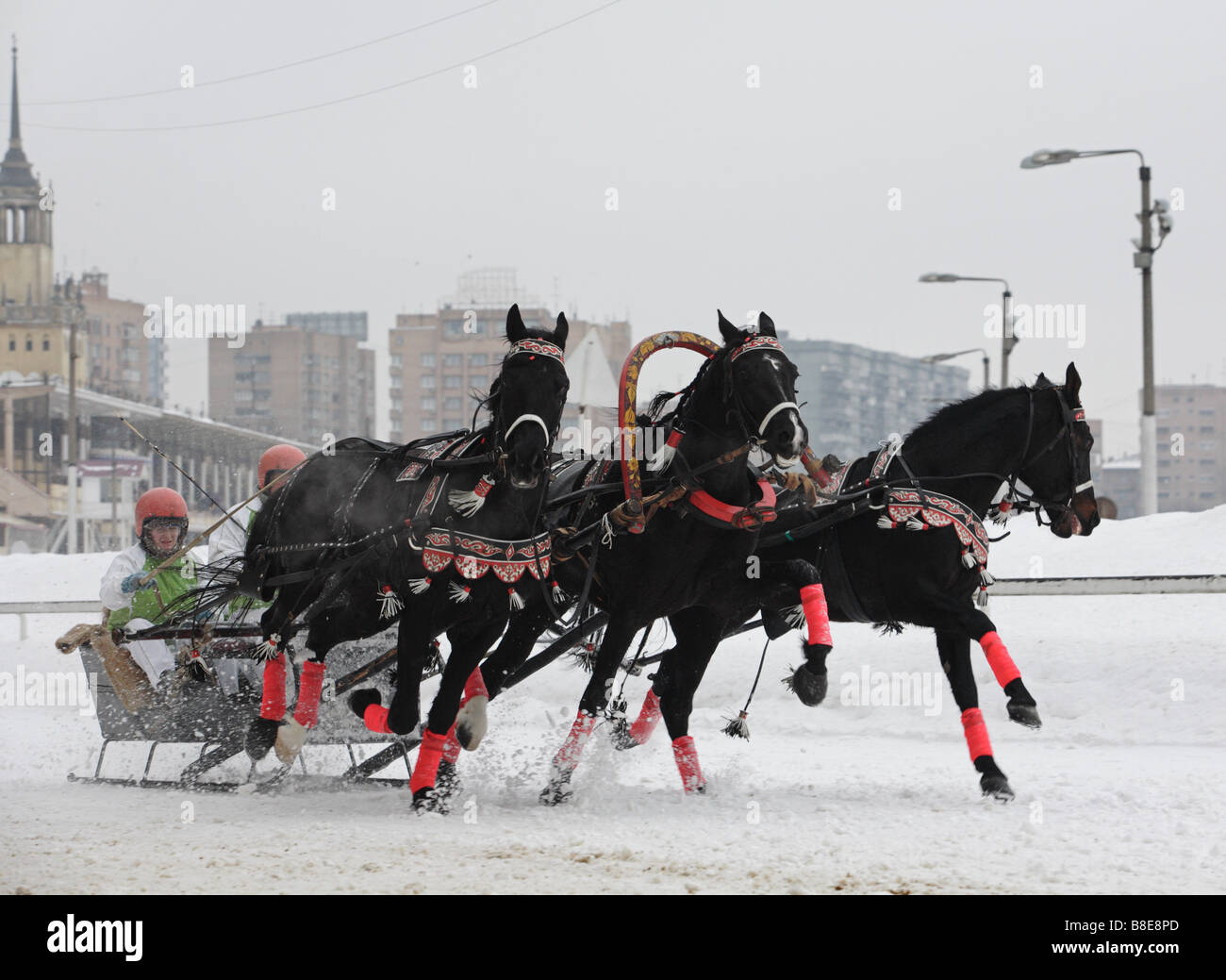 Russian Troika driving competitions in Moscow Stock Photo - Alamy