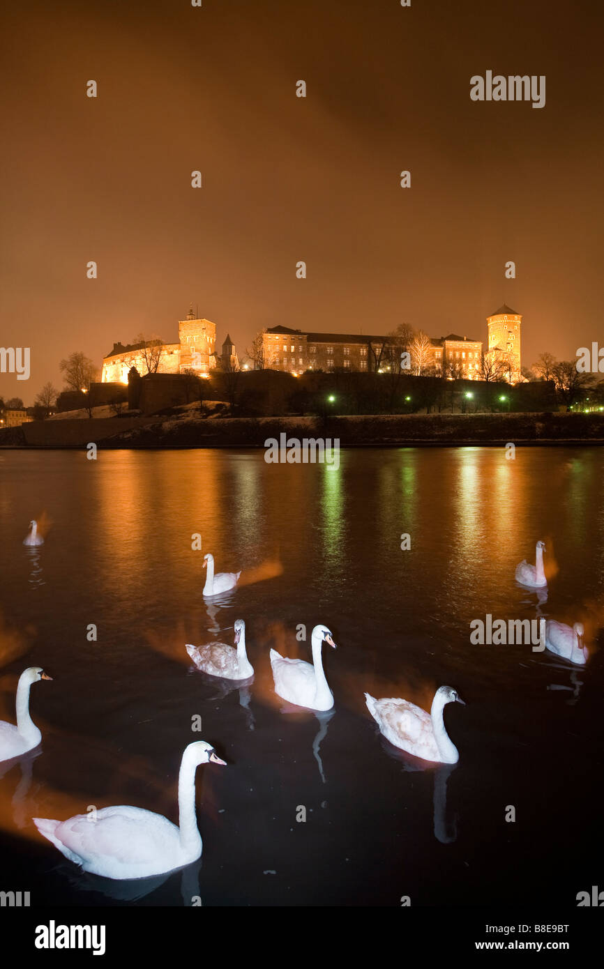 Swans on River Wista at night with Wawel castle and hill in background ...