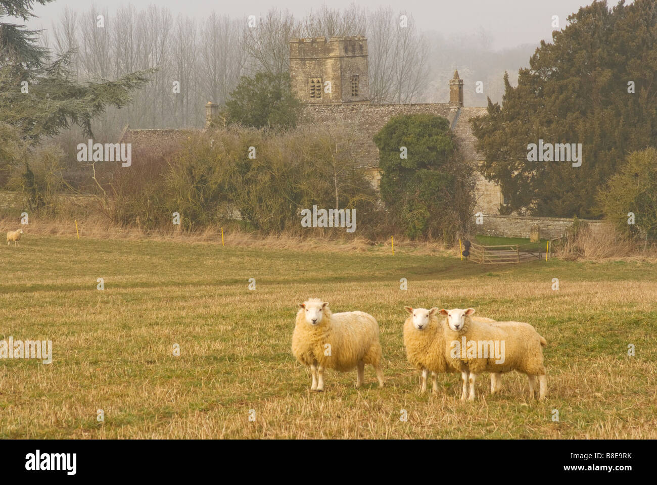 English village field sheep hi-res stock photography and images - Alamy