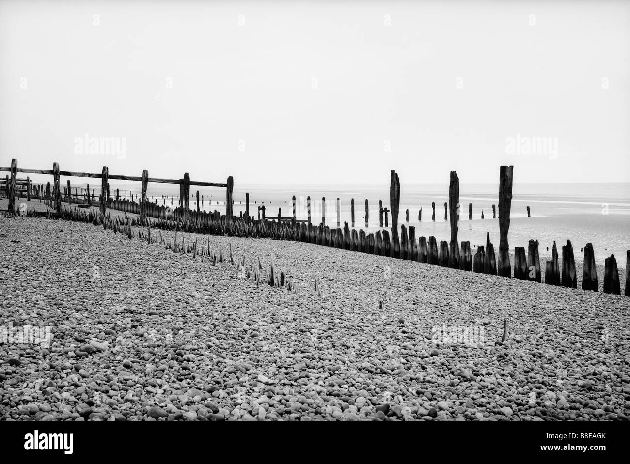 Monochrome beach hi-res stock photography and images - Alamy