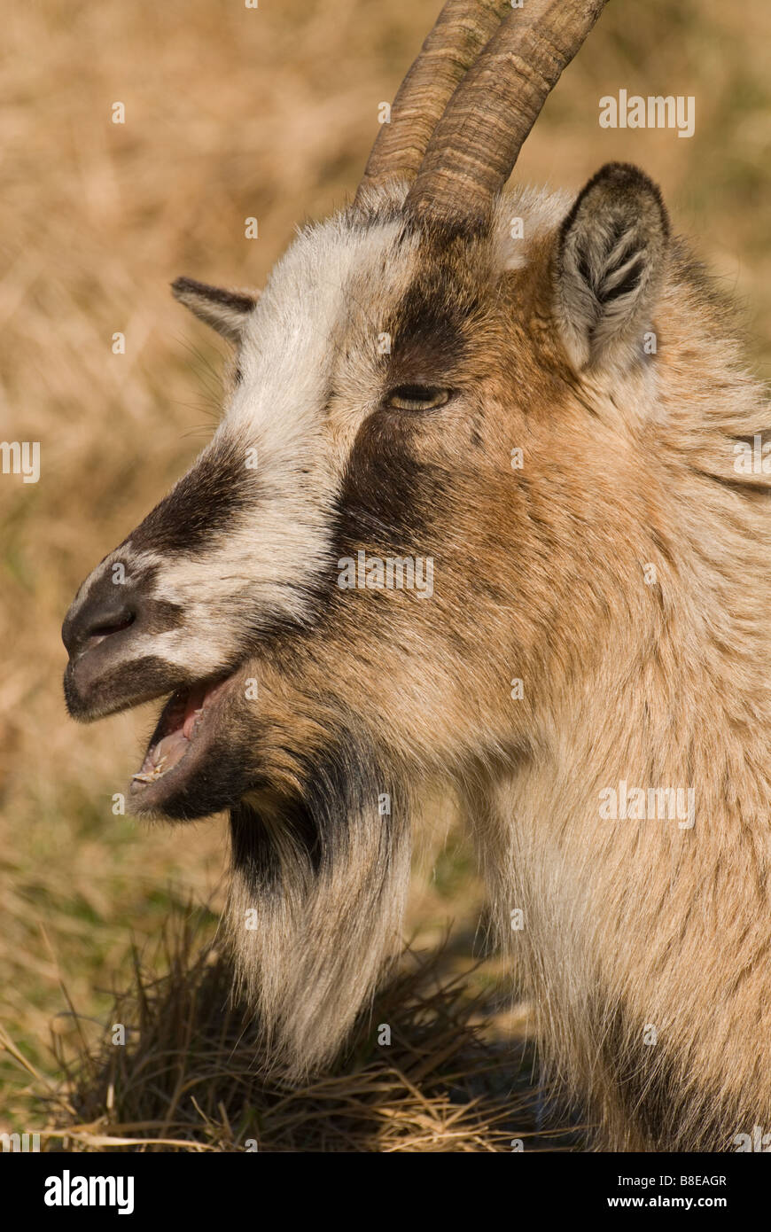 Grey mare tail national trust hi-res stock photography and images - Alamy