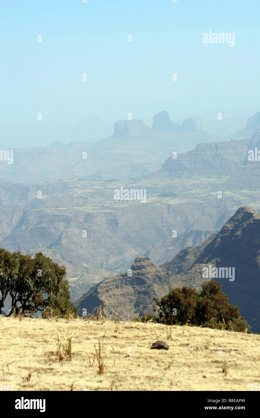 Simen hi-res stock photography and images - Alamy