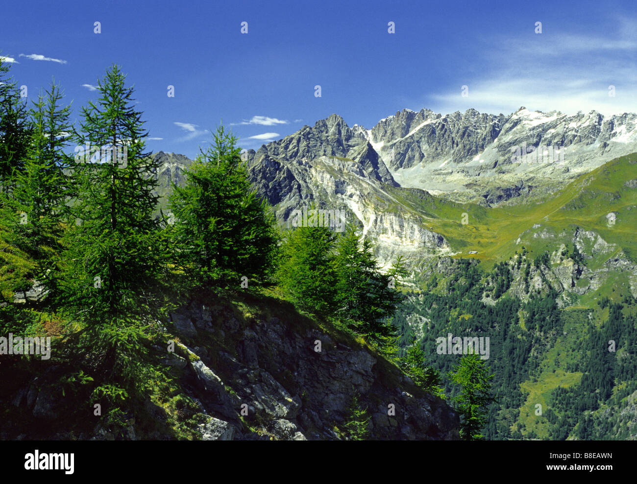 Cheneil italy hi-res stock photography and images - Alamy