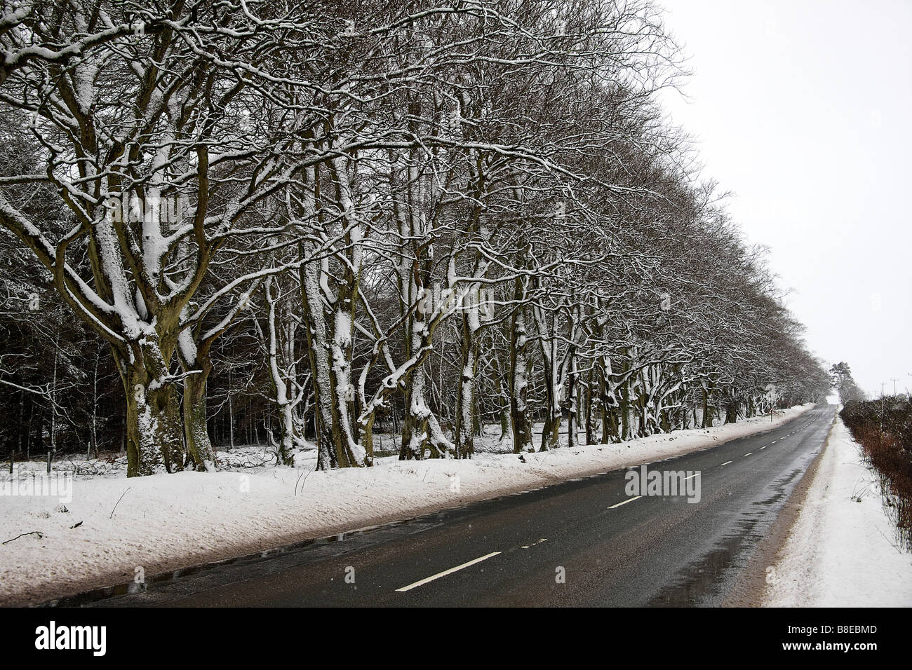 Snow duns hi-res stock photography and images - Alamy