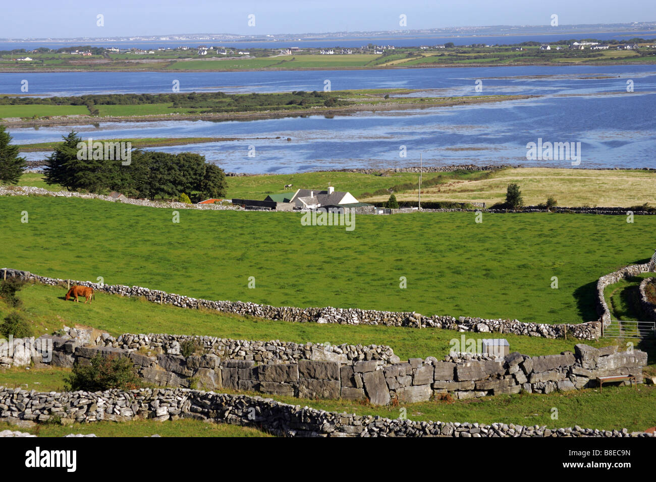 Ireland Clare farm landscape near Kinvara Stock Photo - Alamy