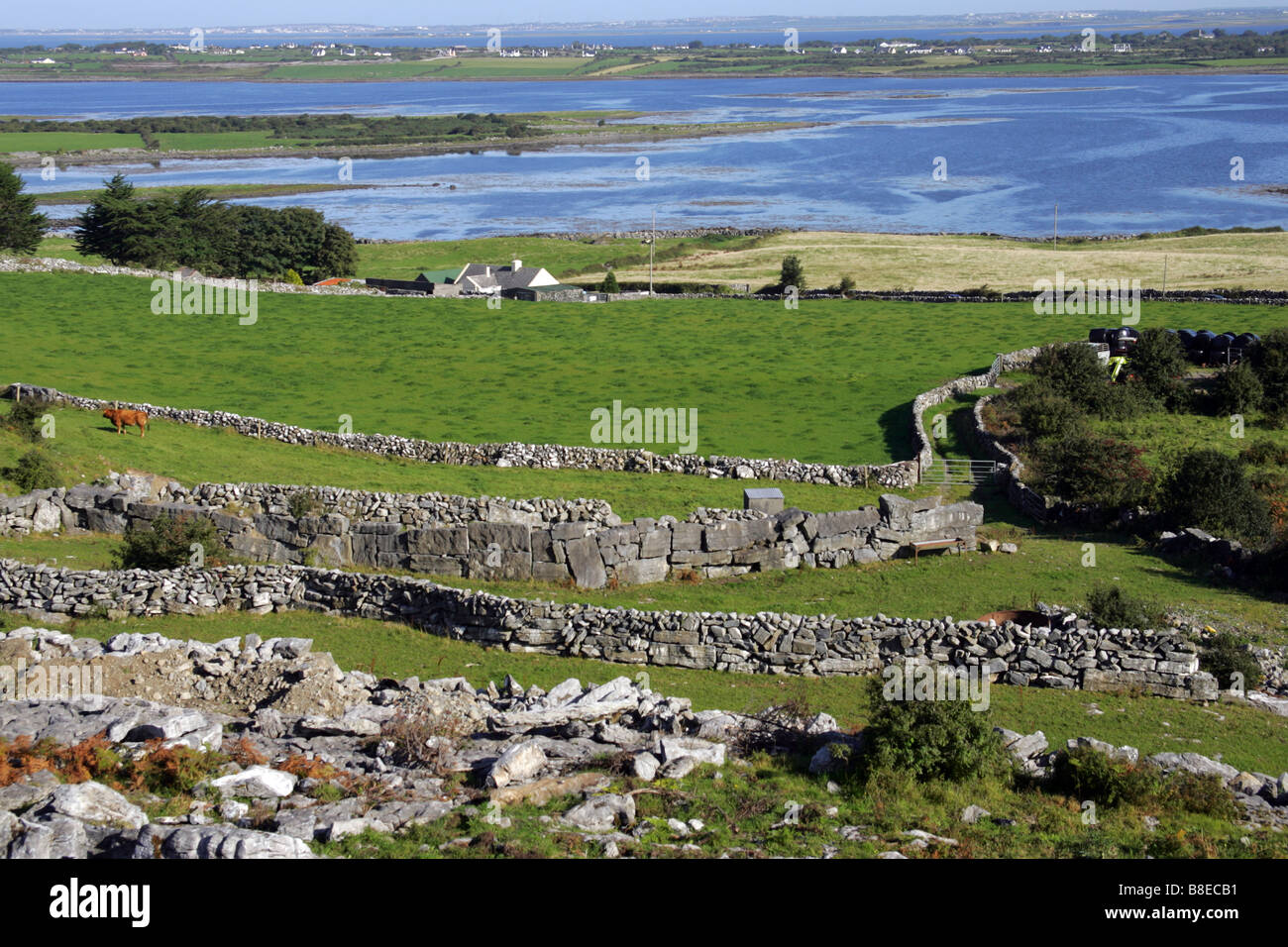 Ireland Clare farm landscape near Kinvara Stock Photo - Alamy