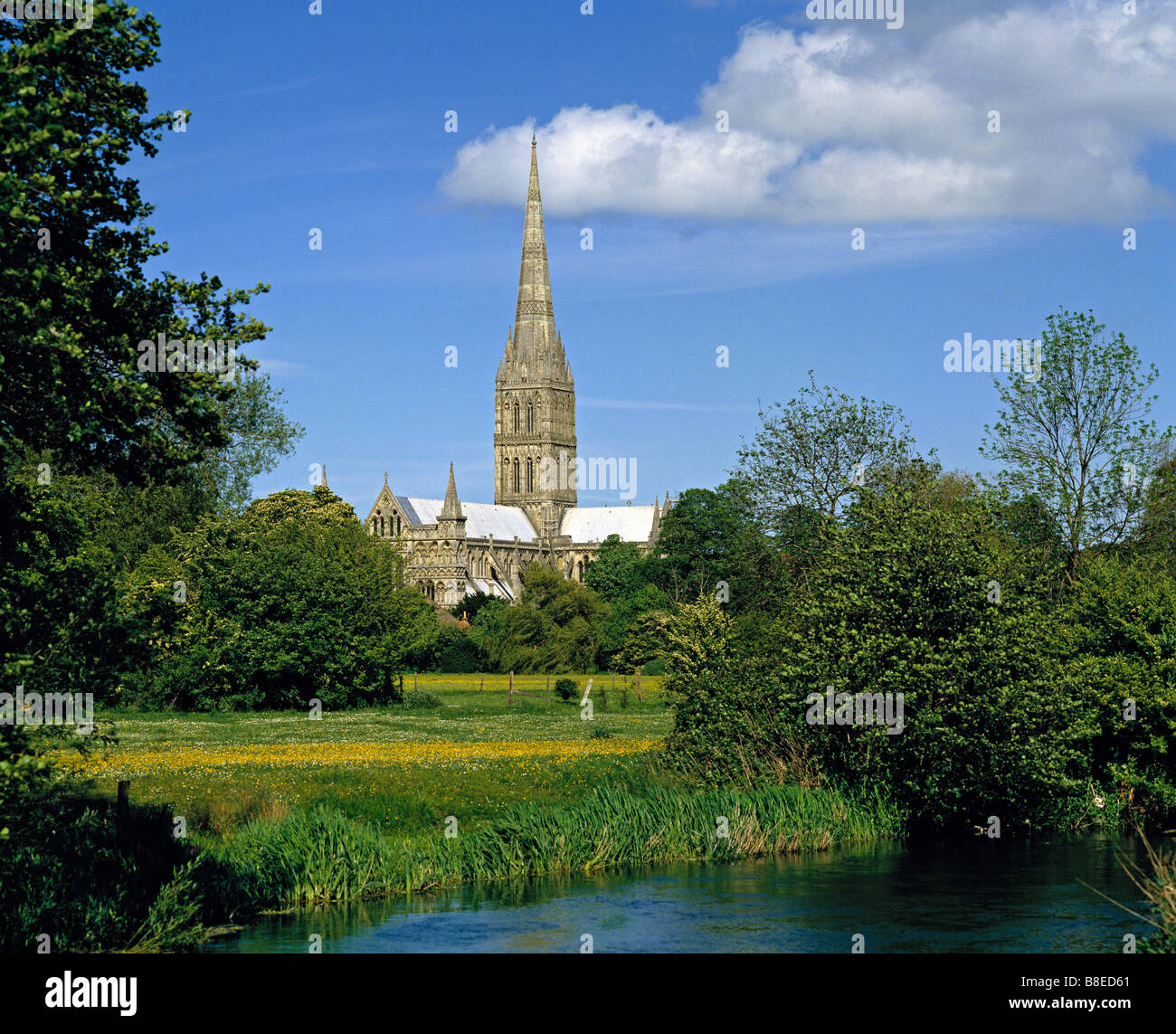 River Nadder Wiltshire High Resolution Stock Photography and Images - Alamy