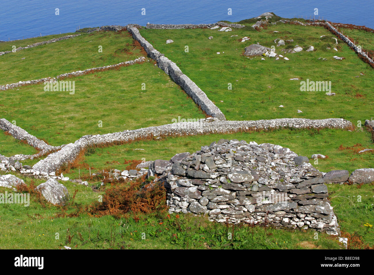 Ireland Kerry Ring of Kerry Waterville landscape with stone walls ...