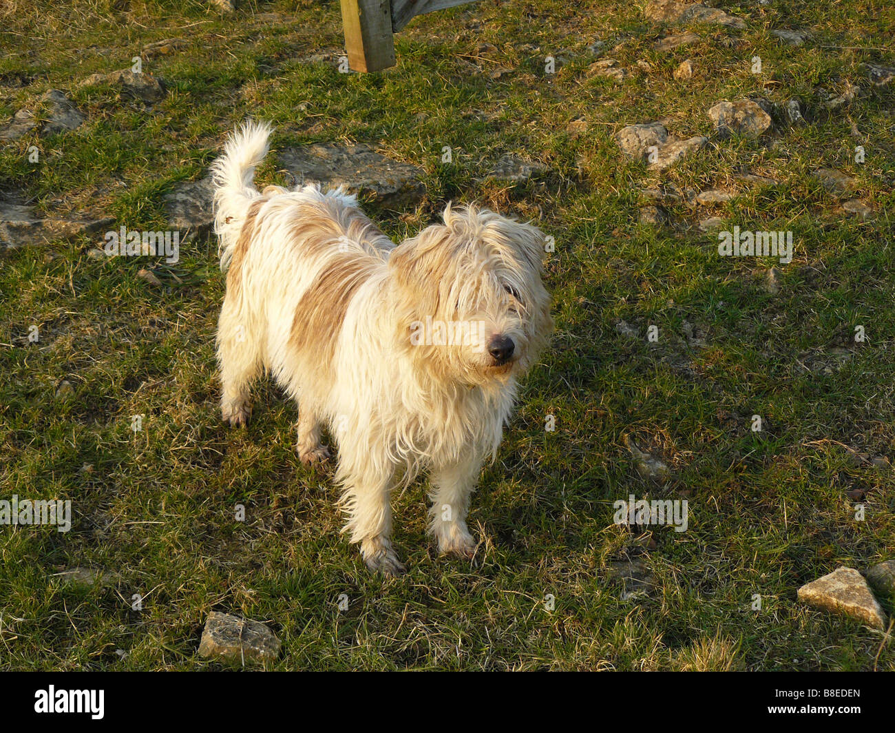 Standing stood stand hi-res stock photography and images - Alamy