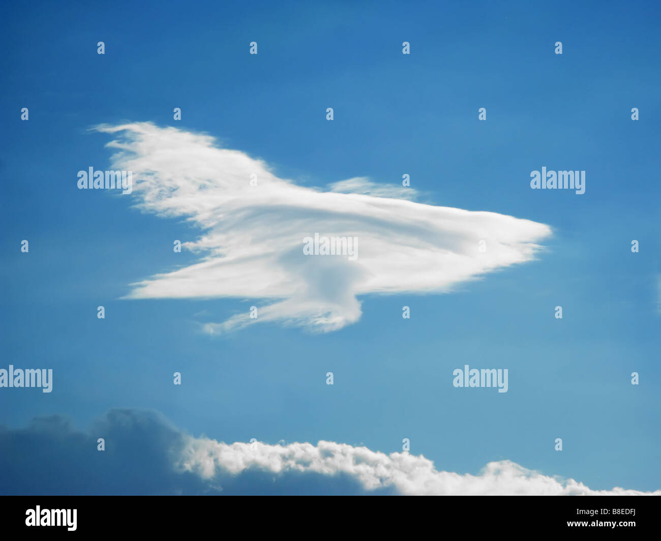 Peculiar shape hi-res stock photography and images - Alamy
