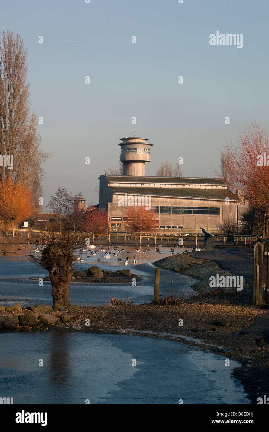 Slimbridge view hi-res stock photography and images - Alamy