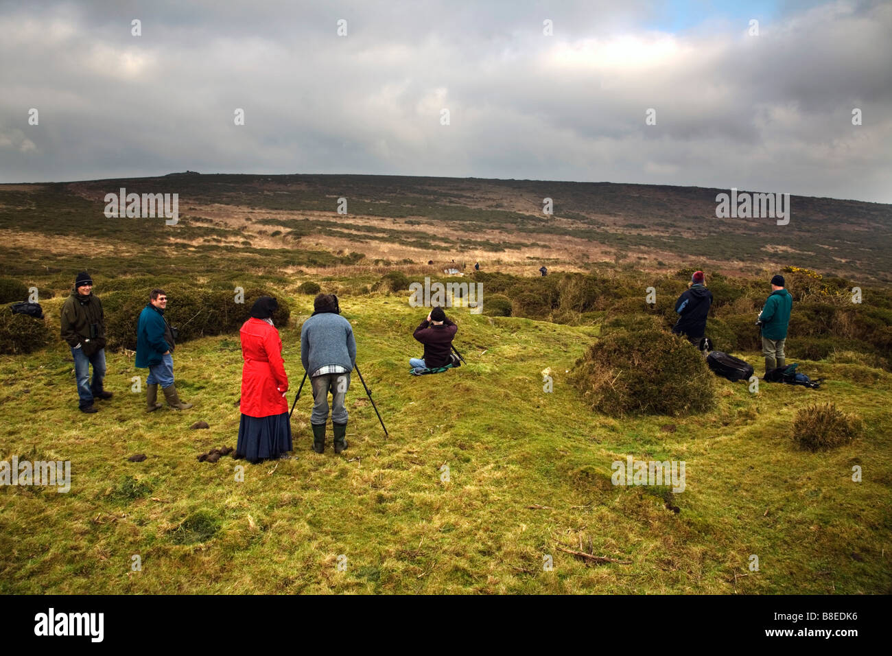 Twitchers bird hi-res stock photography and images - Alamy
