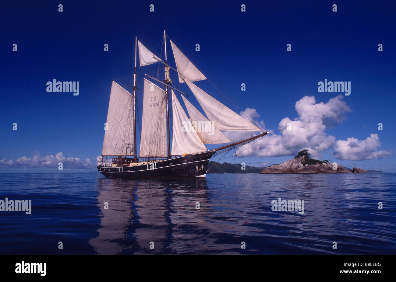 The Sailing Yacht Sea Shell Stock Photo - Alamy