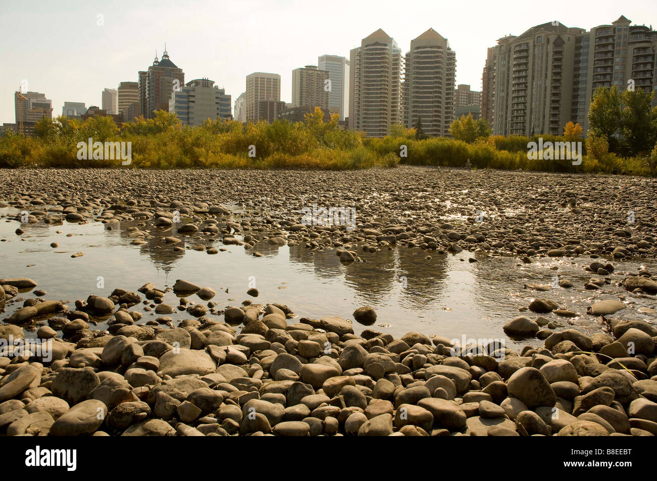 Alberta trees hi-res stock photography and images - Alamy