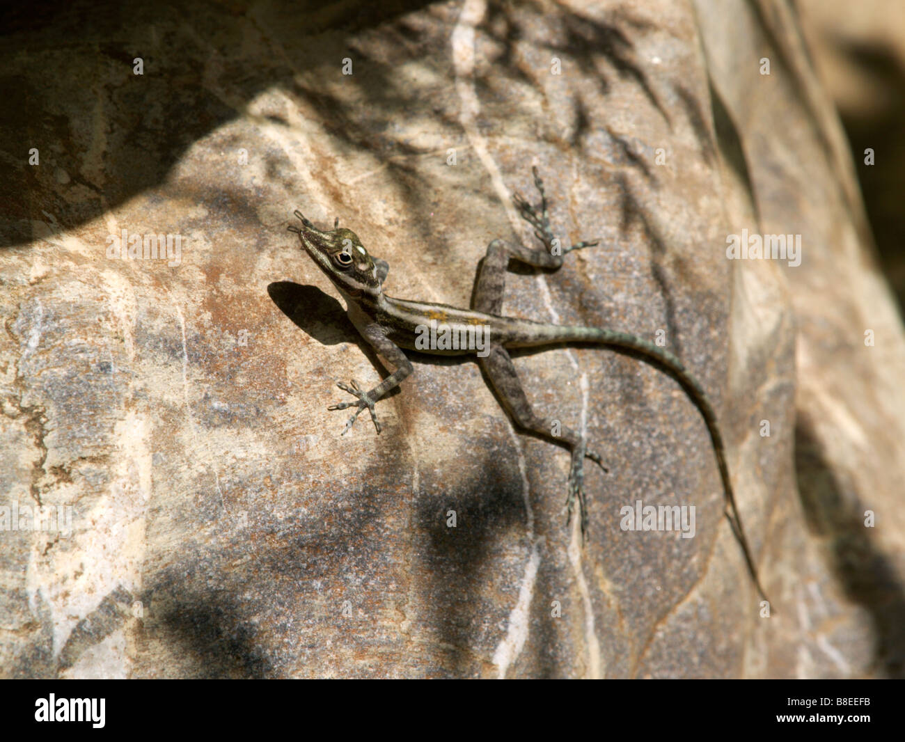 Topes de collantes cave hi-res stock photography and images - Alamy