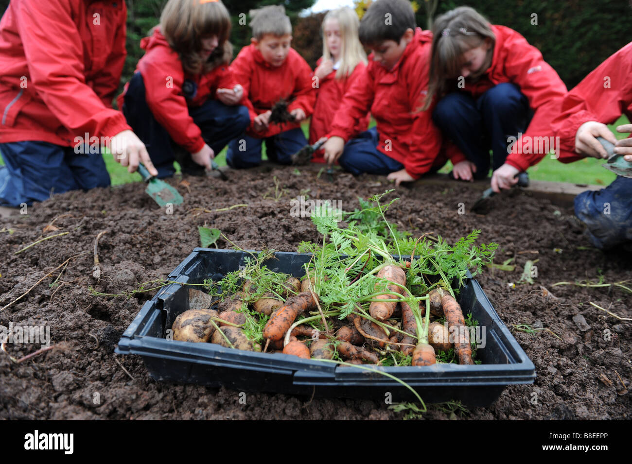 Children gardening school hi-res stock photography and images - Alamy