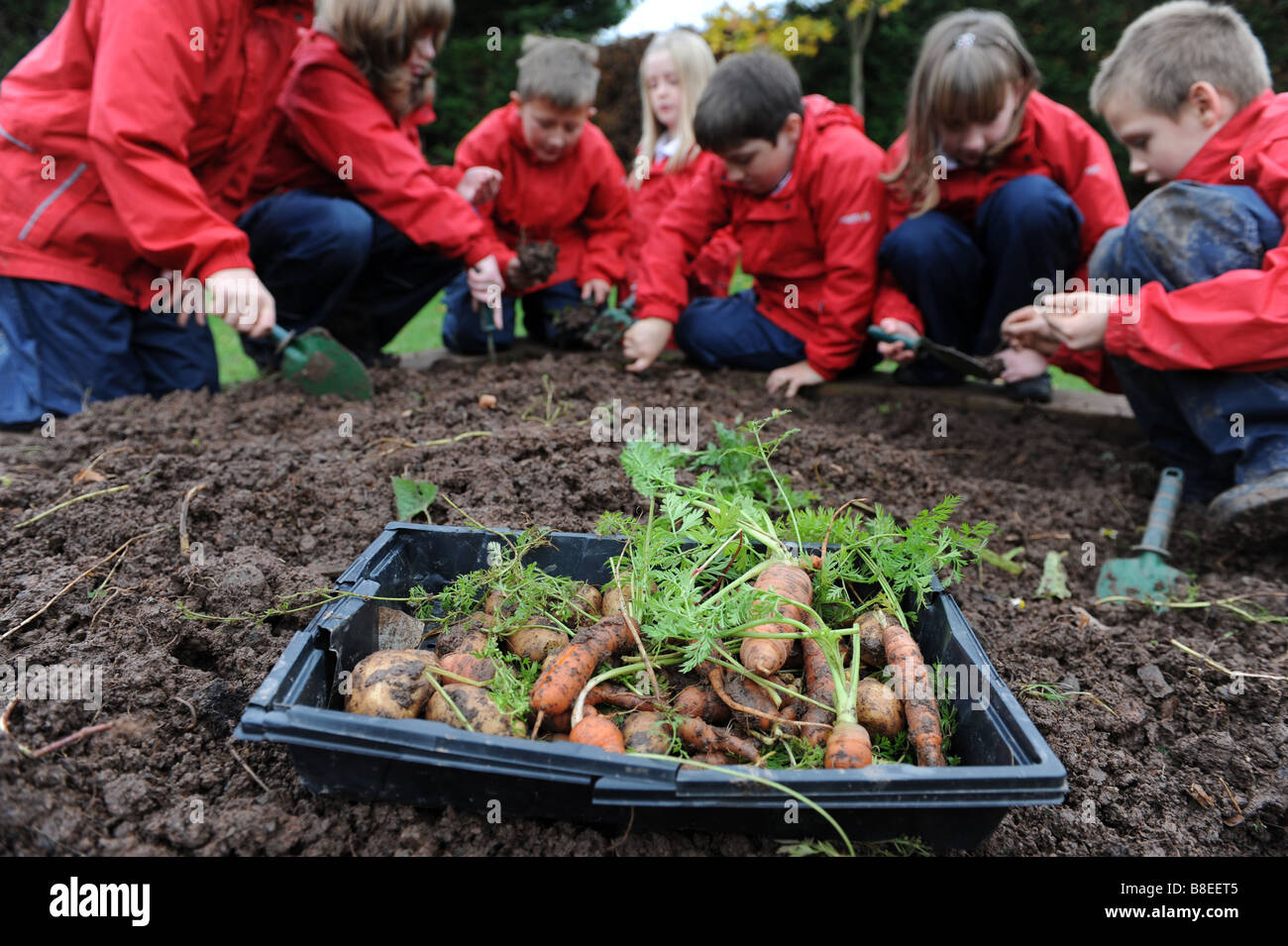 Children dig mud hi-res stock photography and images - Alamy