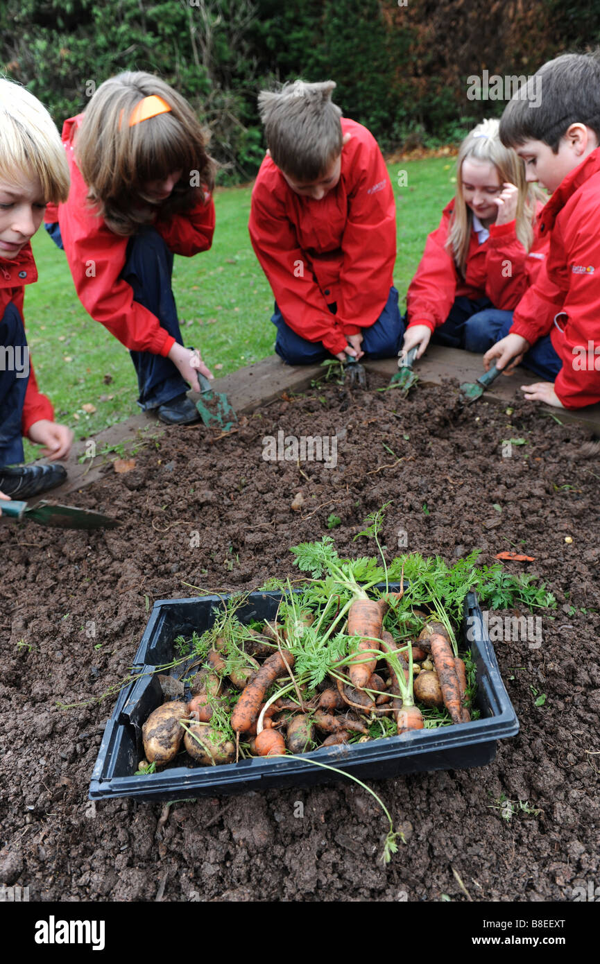 School garden hi-res stock photography and images - Alamy