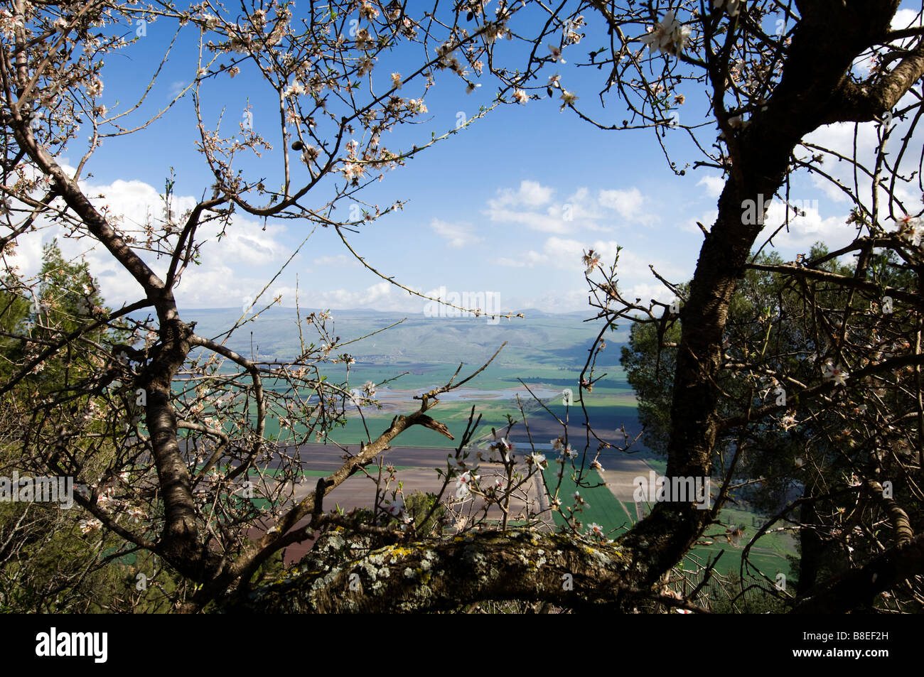 View hula valley landscape hi-res stock photography and images - Alamy