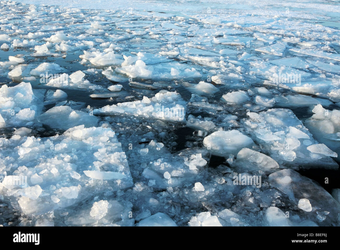 Cracked and melting ice surface in winter Stock Photo - Alamy