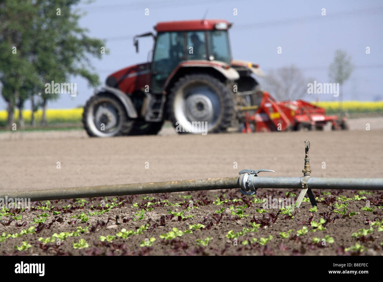 Sprinkler on a field and a tractor in the background Stock Photo - Alamy