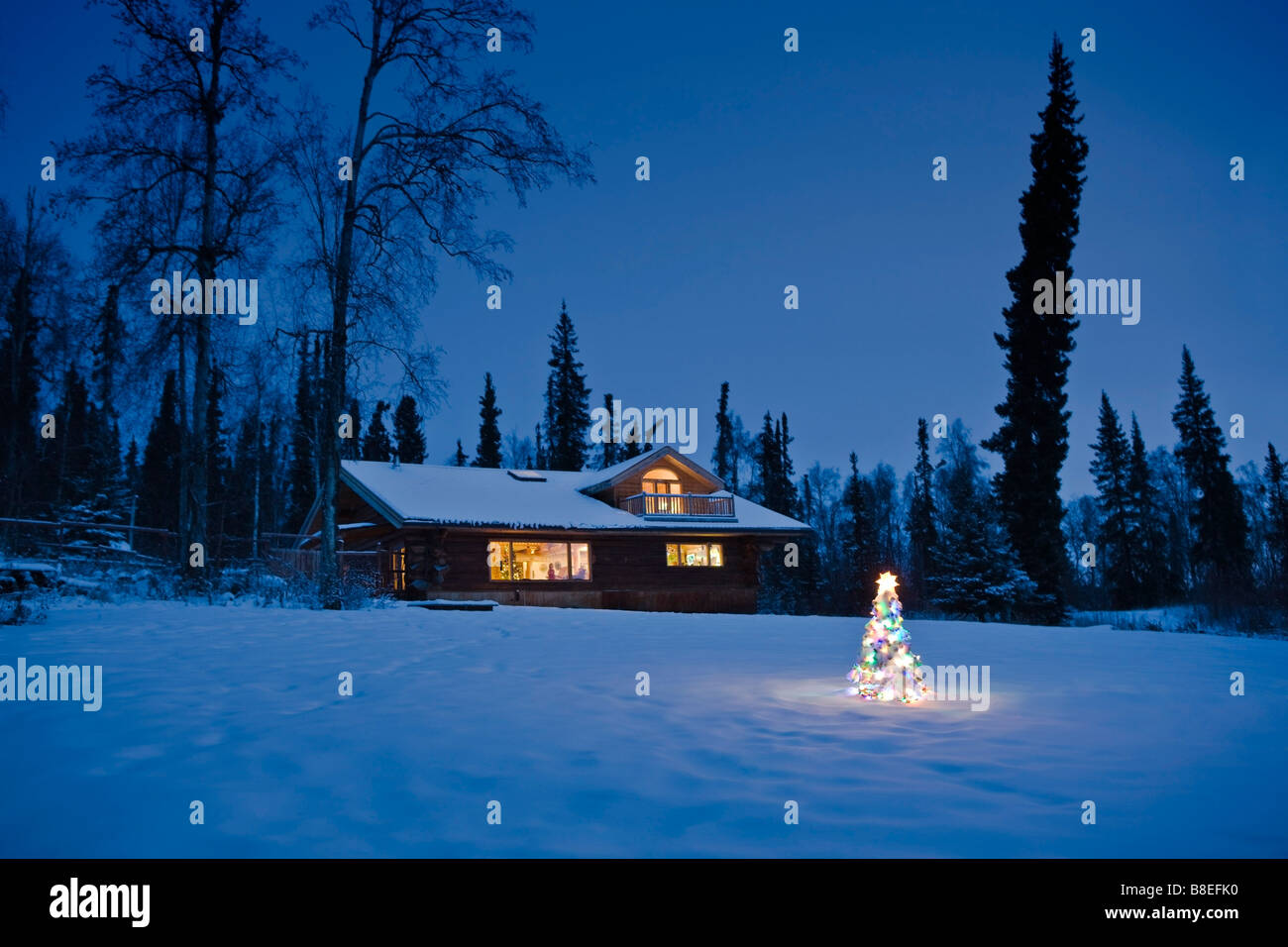 Lit Christmas tree in snow outside a log home during winter at twilight ...