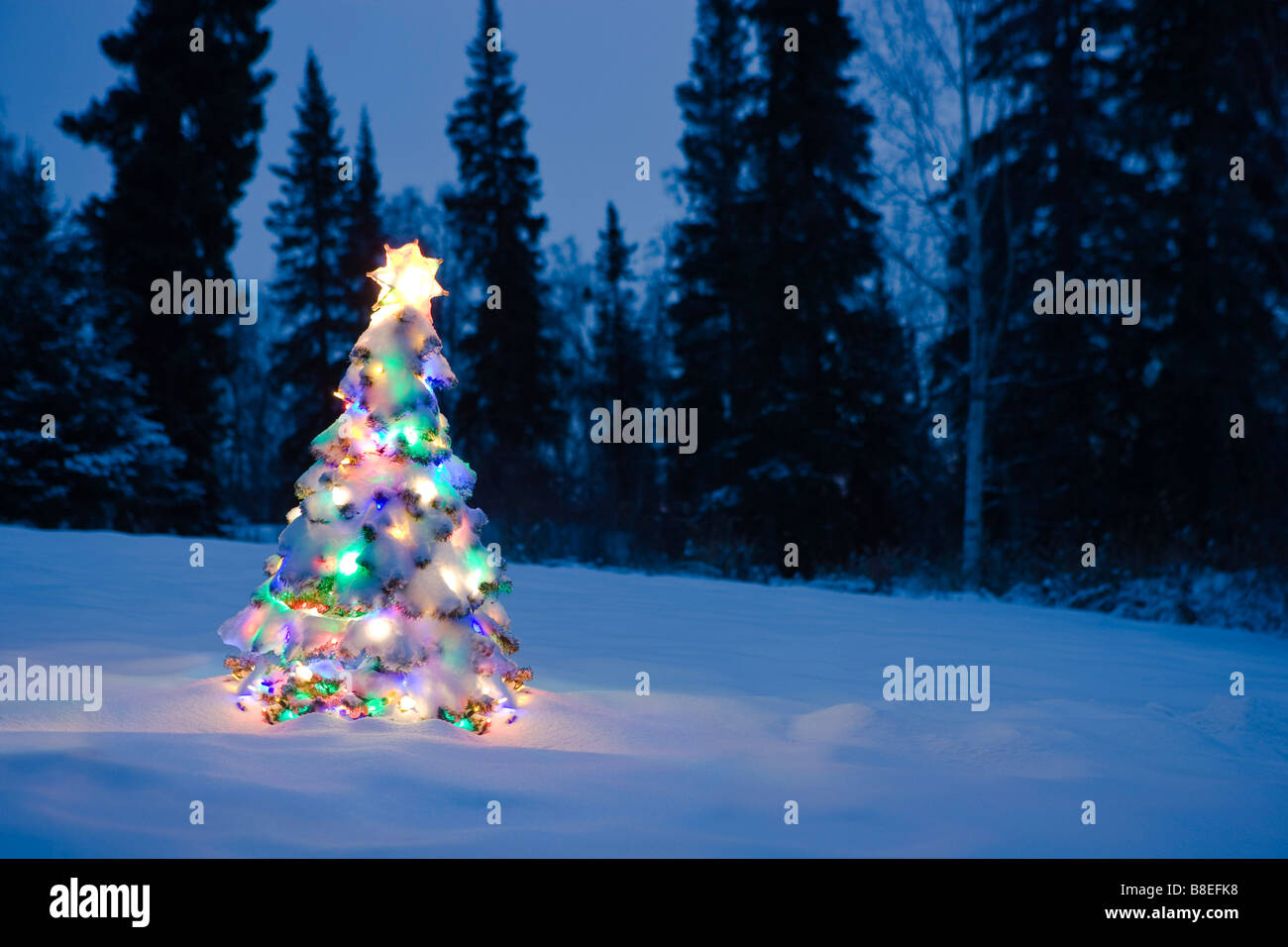 Lit Christmas tree in snow outside during winter at twilight in ...