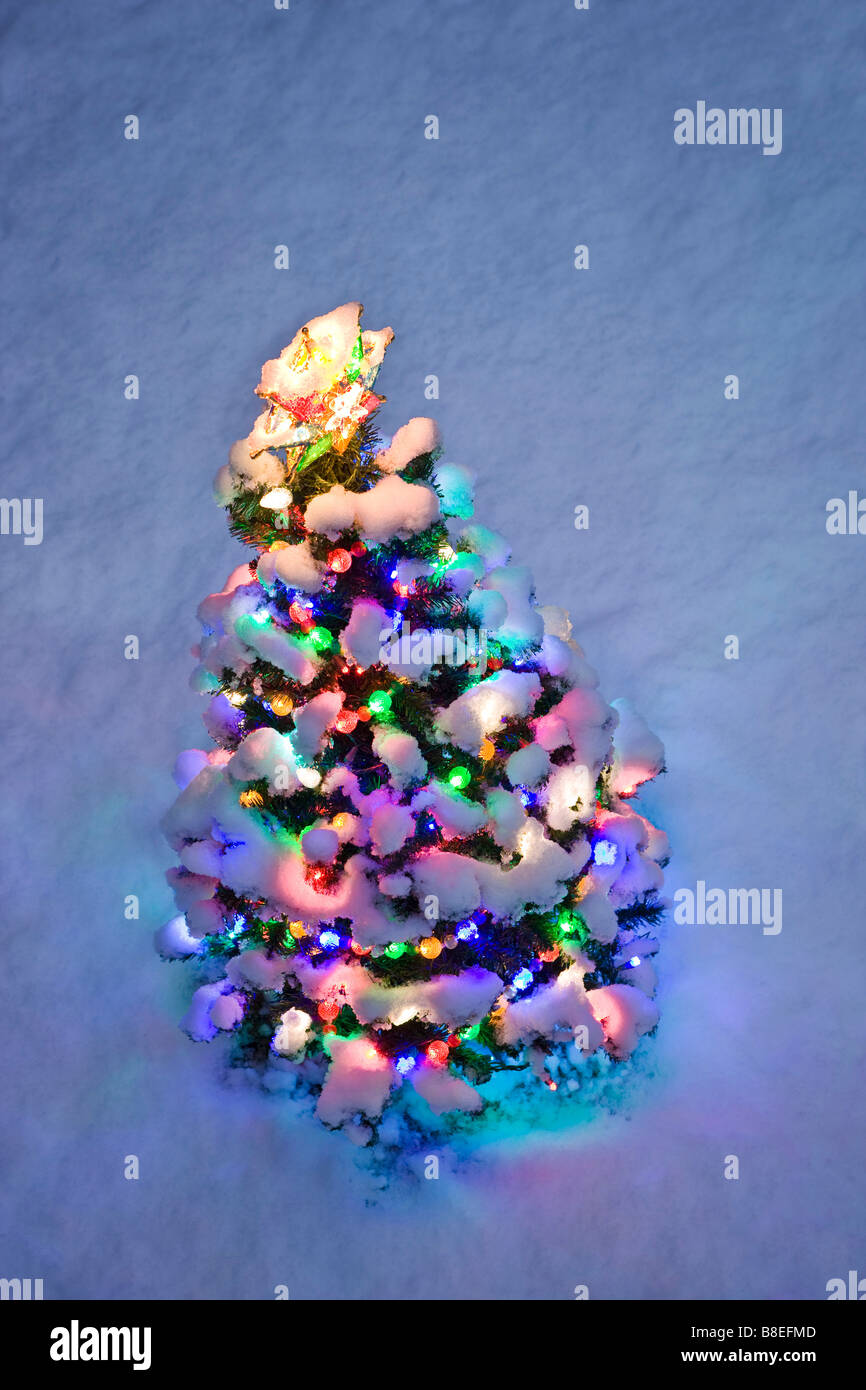 U s national christmas tree hi-res stock photography and images - Alamy