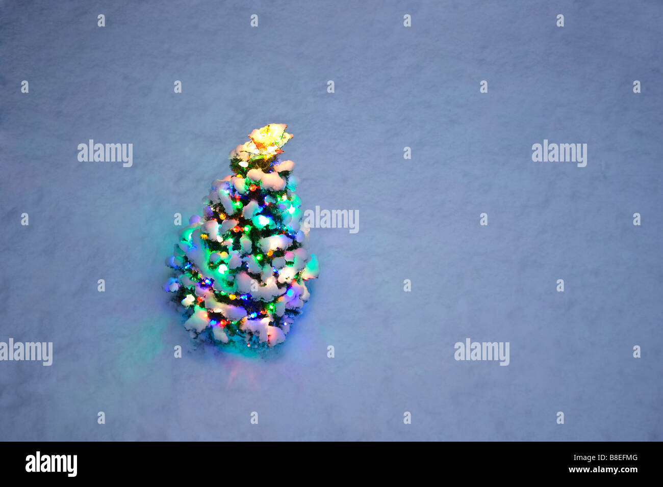 Decorated small tree hi-res stock photography and images - Alamy