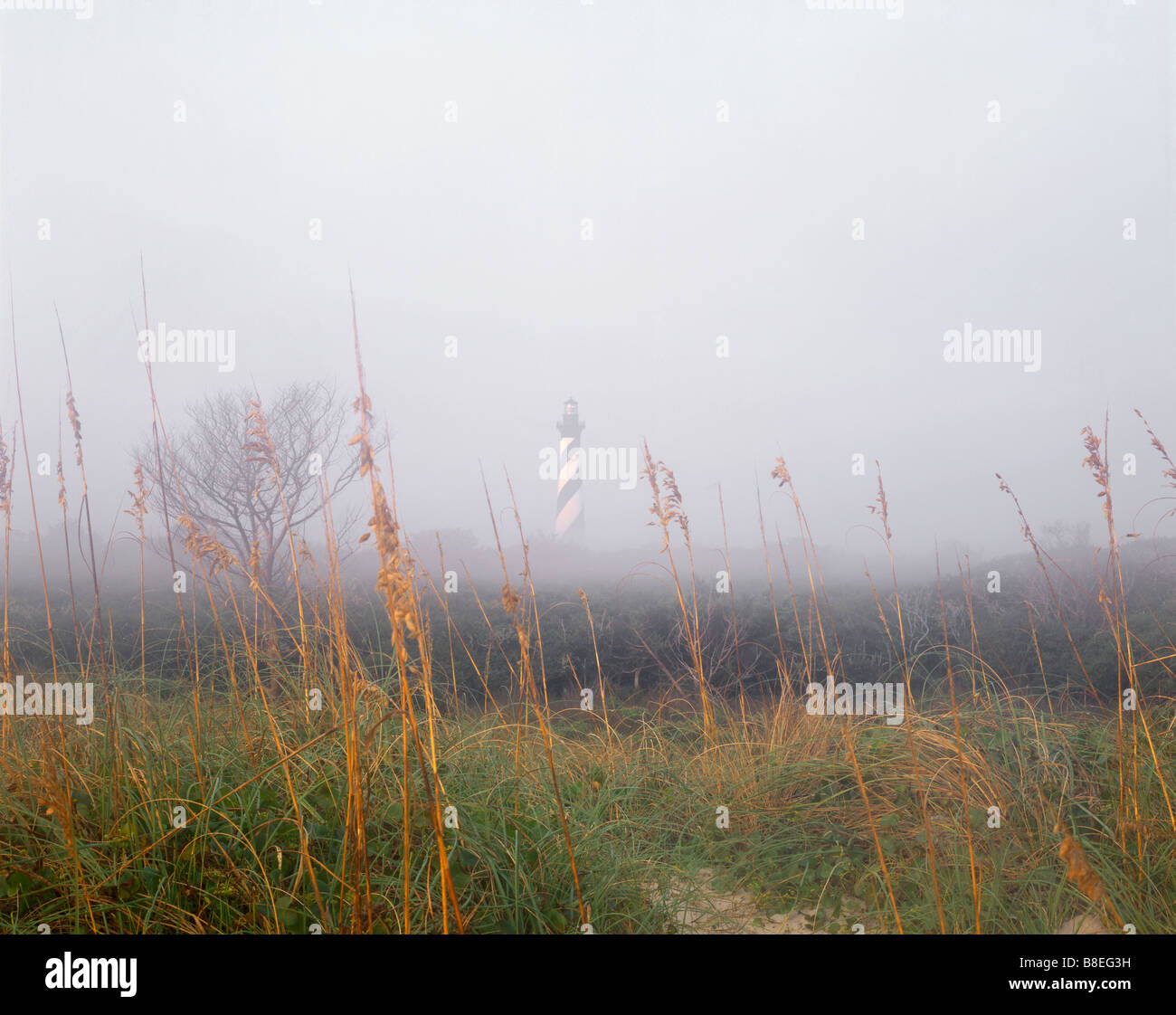NORTH CAROLINA - Foggy morning at Cape Hatteras with lighthouse in the ...