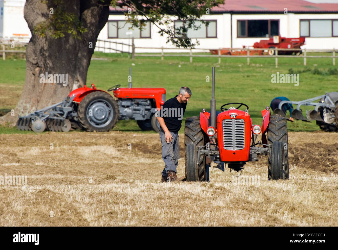 Tractor enthusiast inspecting his renovated red Massey Ferguson 35 ...