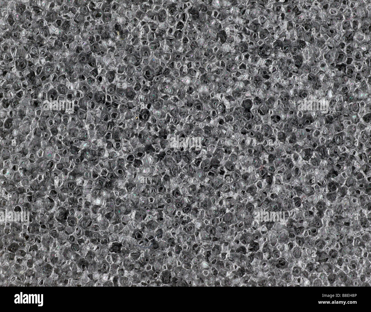 Seamless porous sponge texture hi-res stock photography and images - Alamy