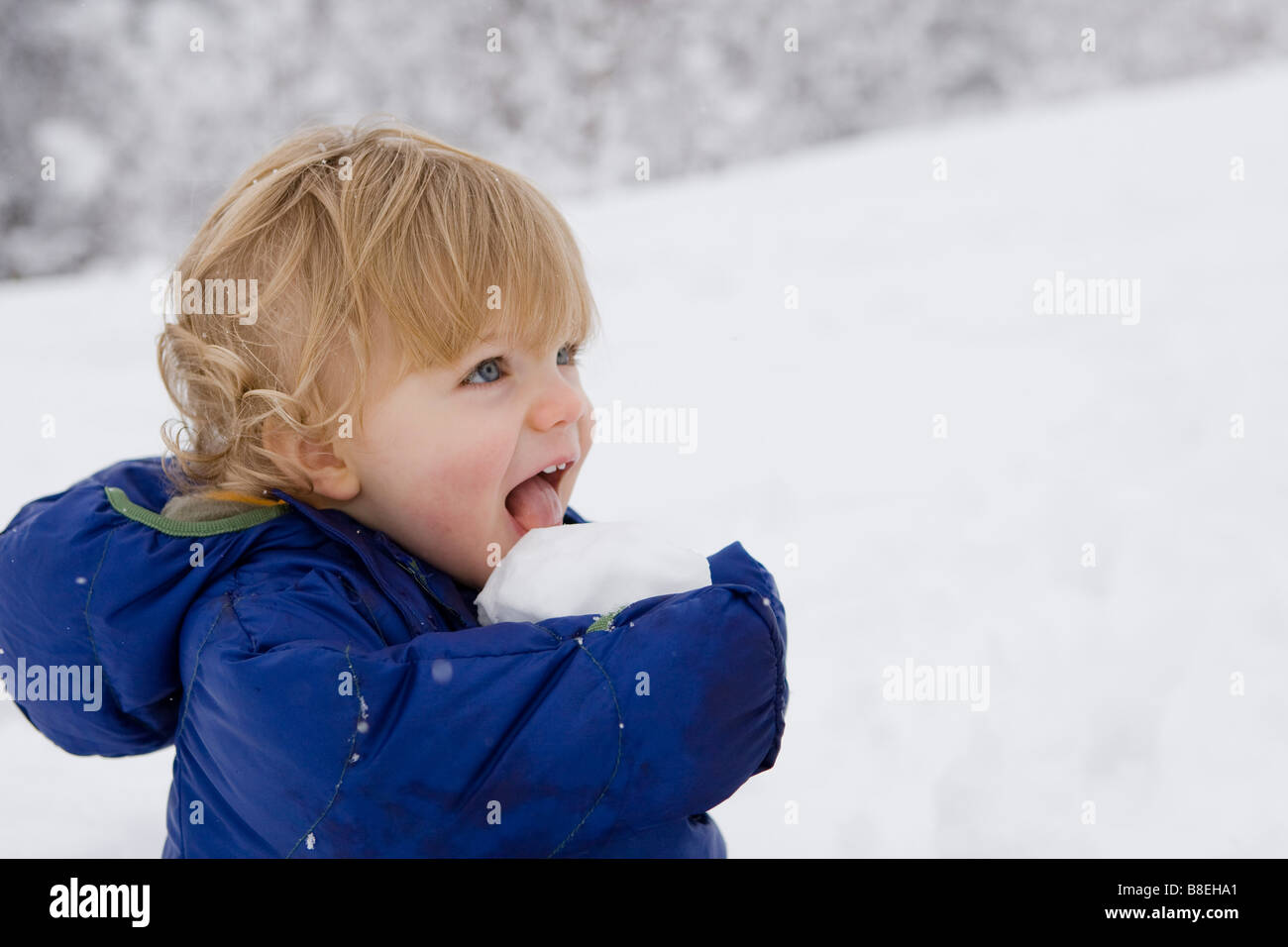 Young boy licking a snowball on a winter walk in Pedro Bay, Alaska ...