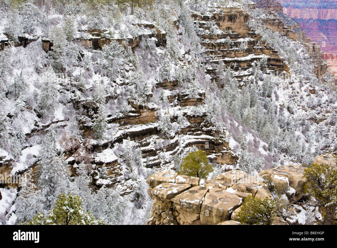 South Rim of the Grand Canyon the Morning After a Sudden April ...